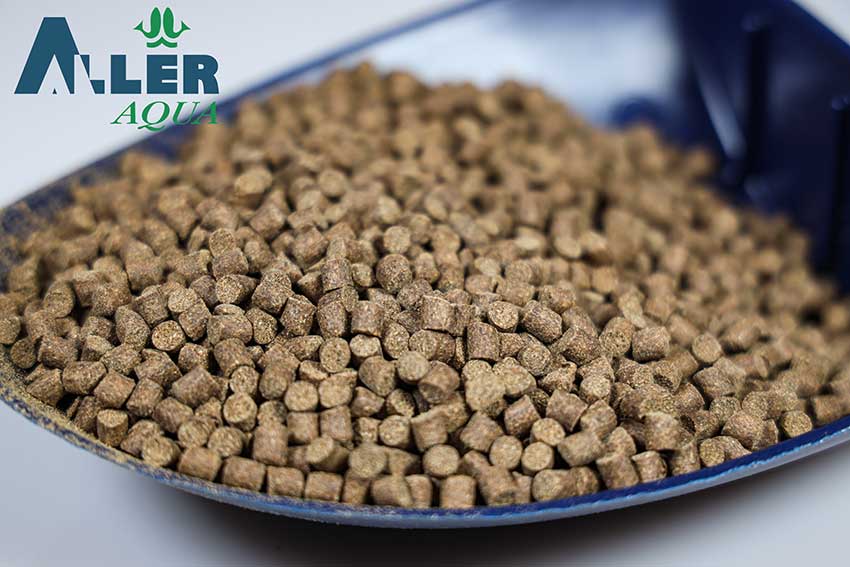 Aller Aqua Classic, 6mm, 25kg - Buy in Bulk and Save £££s - SW Bulk ...