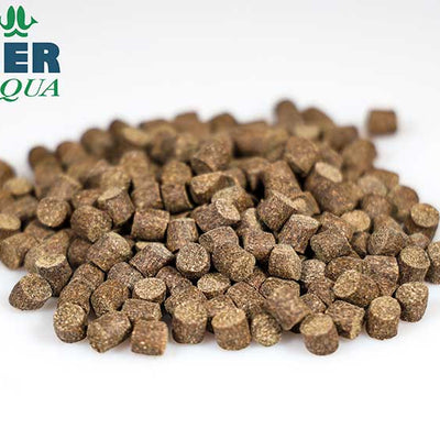 Collections - SW Bulk Fish Feed Supplies