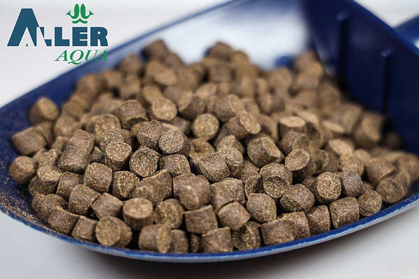 Aller Aqua Master, 11mm, 25kg - Buy in Bulk and Save £££s - SW Bulk ...