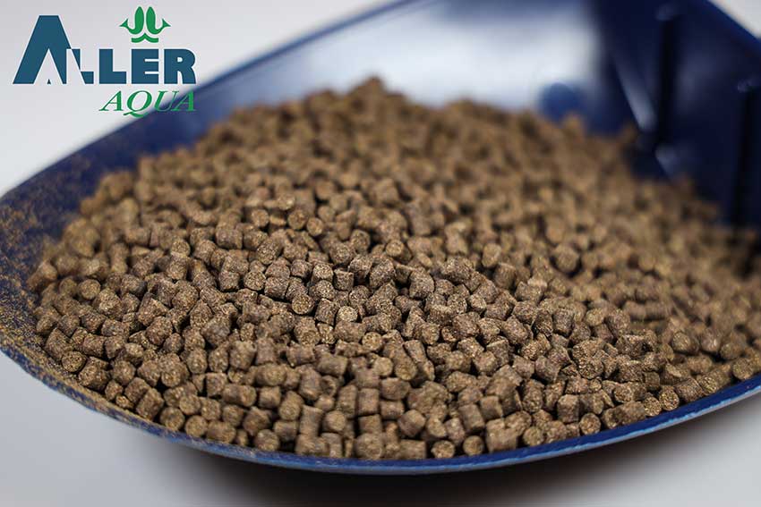 Aller Aqua Master, 4.5mm, 25kg - Buy in Bulk and Save £££s - SW Bulk ...