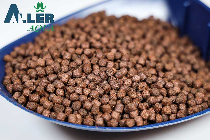 Aller Aqua Primo Float Plus, 6mm, 15kg - Buy in Bulk and Save £££s - SW ...