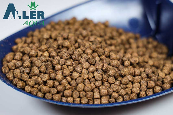 Aller Aqua Orea Float, 6mm, 15kg - Buy in Bulk and Save £££s - SW Bulk ...