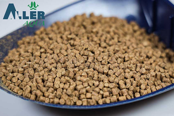 Aller Aqua Top, 4.5mm, 25kg - Buy in Bulk and Save £££s - SW Bulk Fish ...